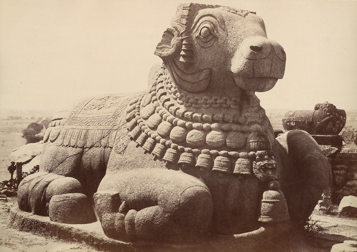 Colossal bull at French Rocks ~ Ancient photos of India
